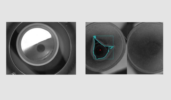 OCVmulti: Vision Camera for Inspection - SEA Vision